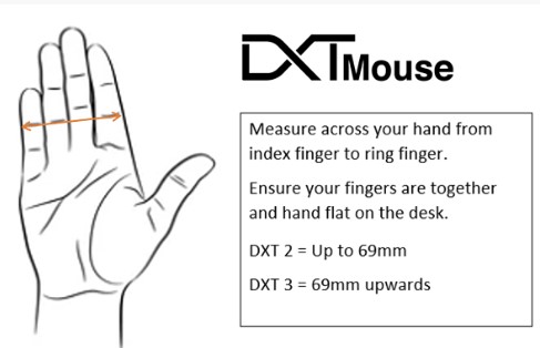 DXT 3 MOUSE